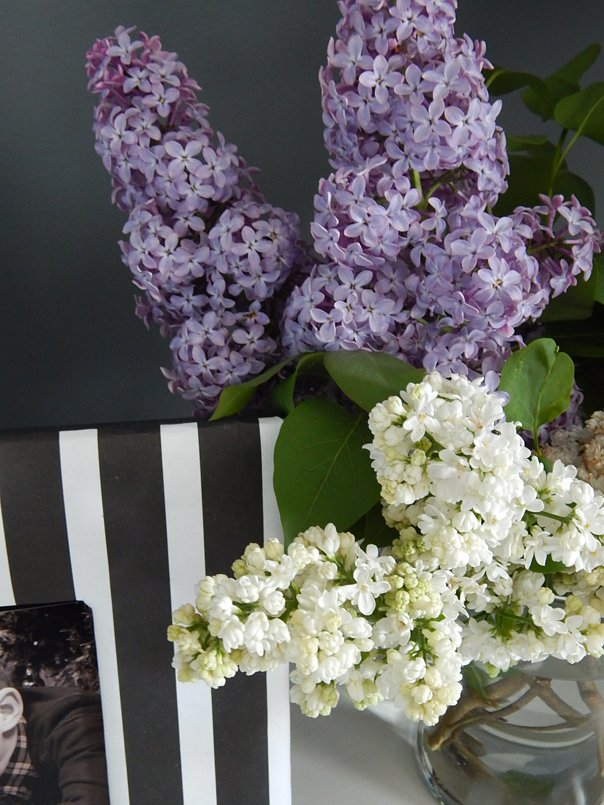 Mirisni jorgovan - My charming house No 6