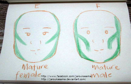 Contouring Tips (How to Change Your Face Shape with Make Up)