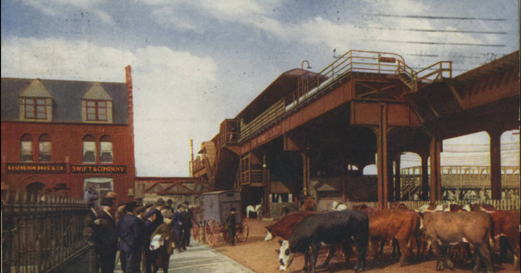 Forgotten Chicago: Examining Vintage Postcards