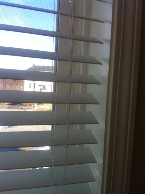 Which is better: 2x4 or 2x6 construction?