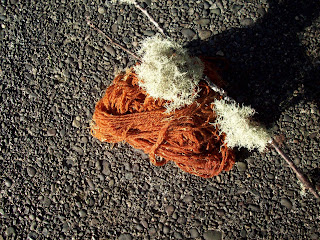 An Impartation of Color: Lichen - Usnea