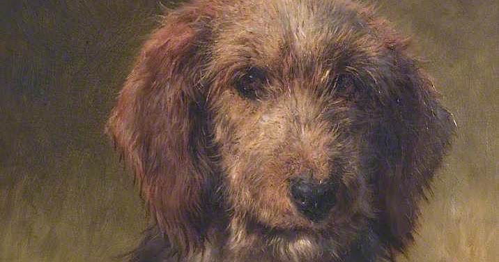 The Pet Museum: the lives times art and history of our pets: rosa ...