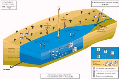 Ciencias de la Tierra y M.Ambientales: Aguas almacenadas en embalses.