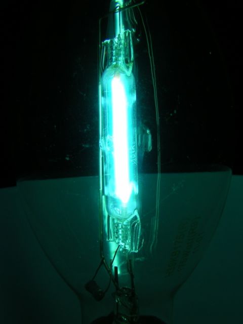 Untitled Blog: The Pink Light Egg-shapped Bulb - 1