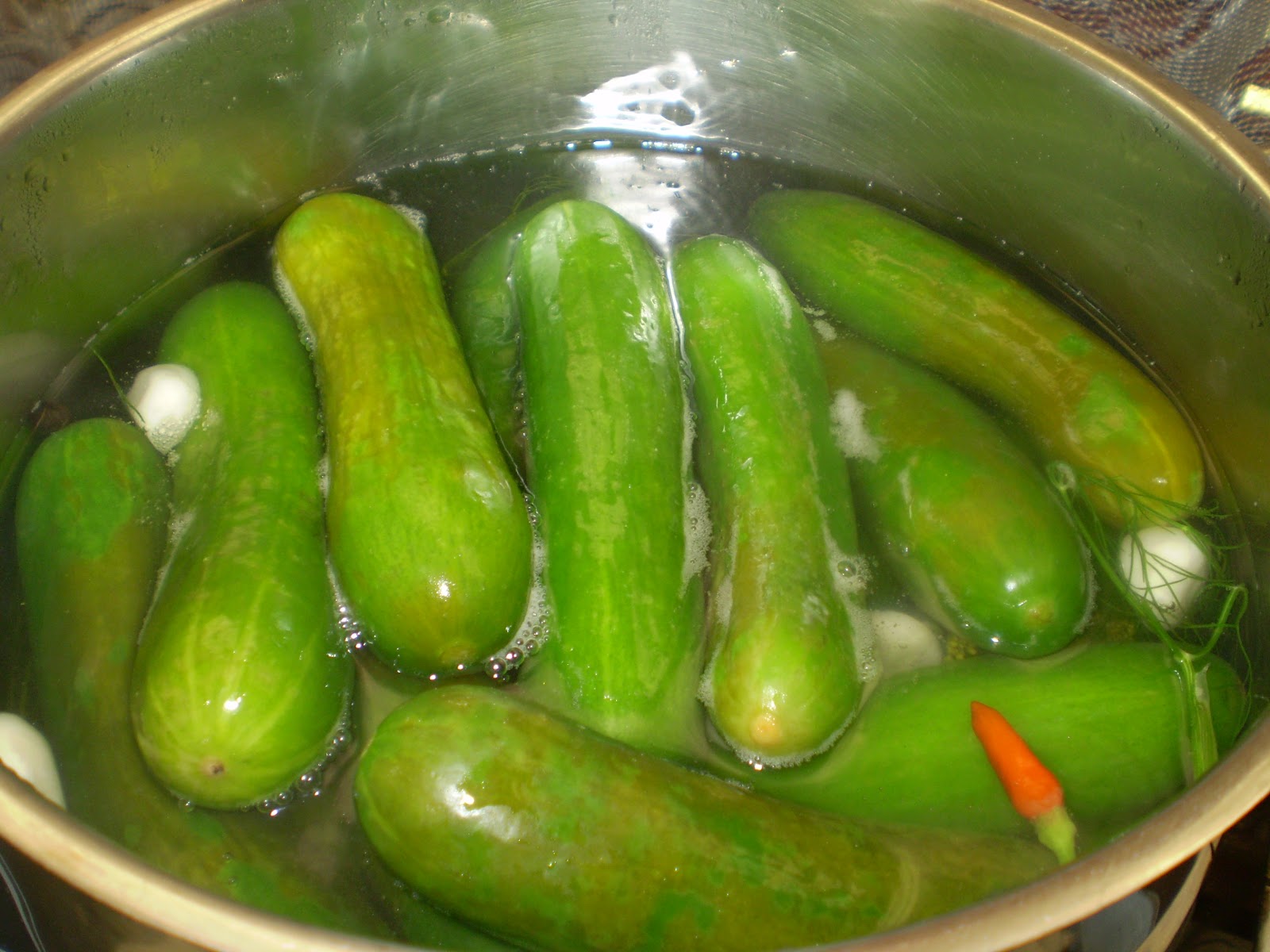 Unveiled Jobless Money Tai Tai's Life: HOW TO MAKE GHERKIN (DWARF ...