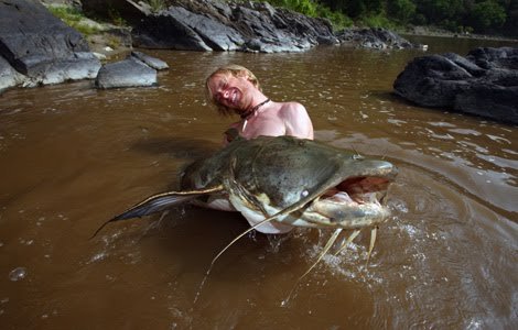 Giant Devil Catfish - The Goonch Catfish: Goonch Catfish Records