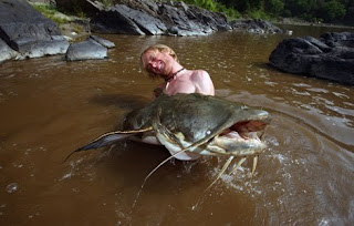 Goonch Catfish Pictures | Giant Devil Catfish - The Goonch Catfish