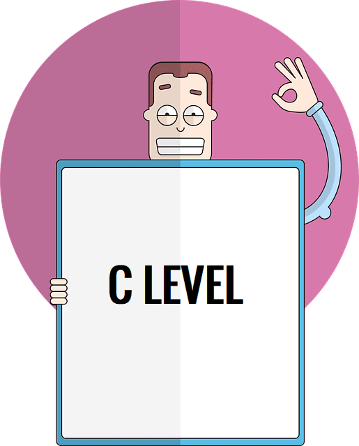 Writing Task Samples from A+ level to C Level English