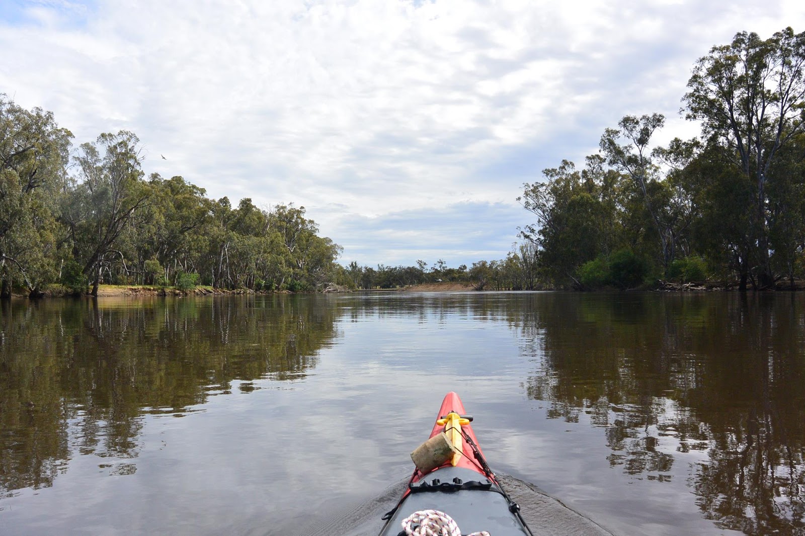 Murray River Kayak.: Murray River Paddle 2016 Day 15 Echuca to ...