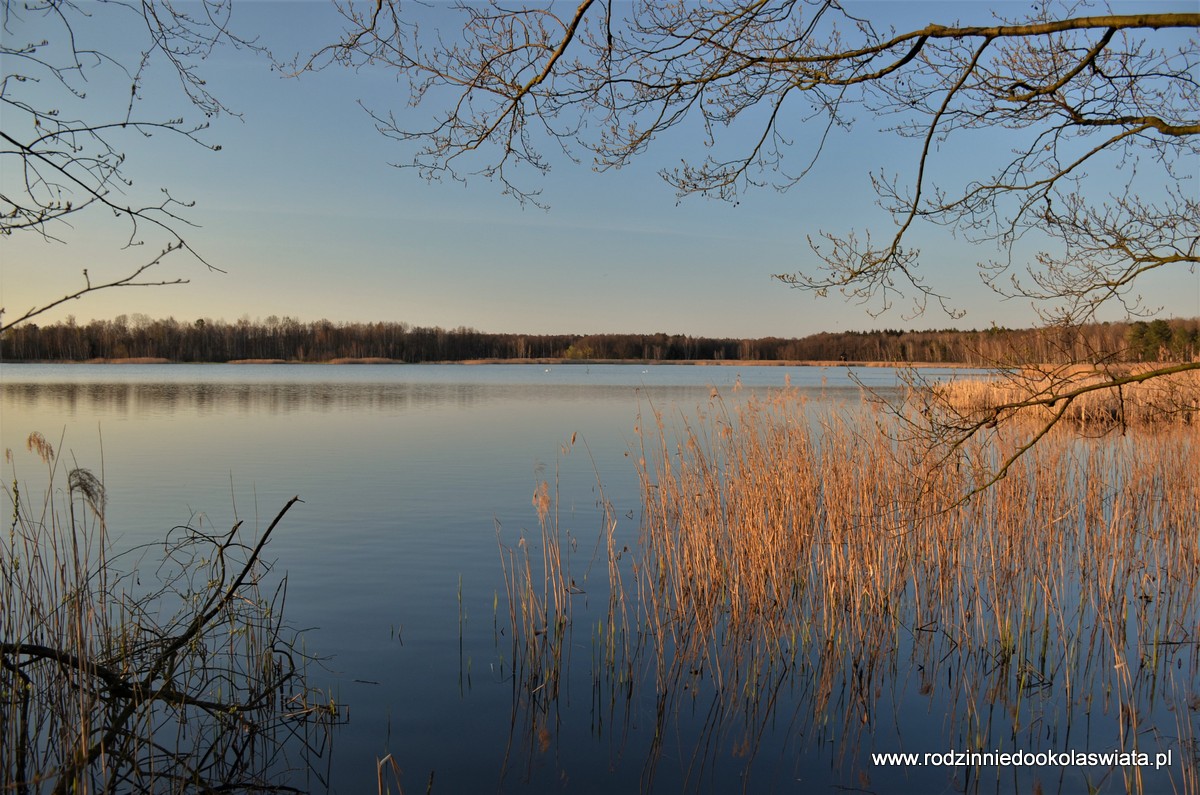 Polesie i Poleski Park Narodowy- co warto zobaczyć? | RODZINNIE DOOKOŁA ...