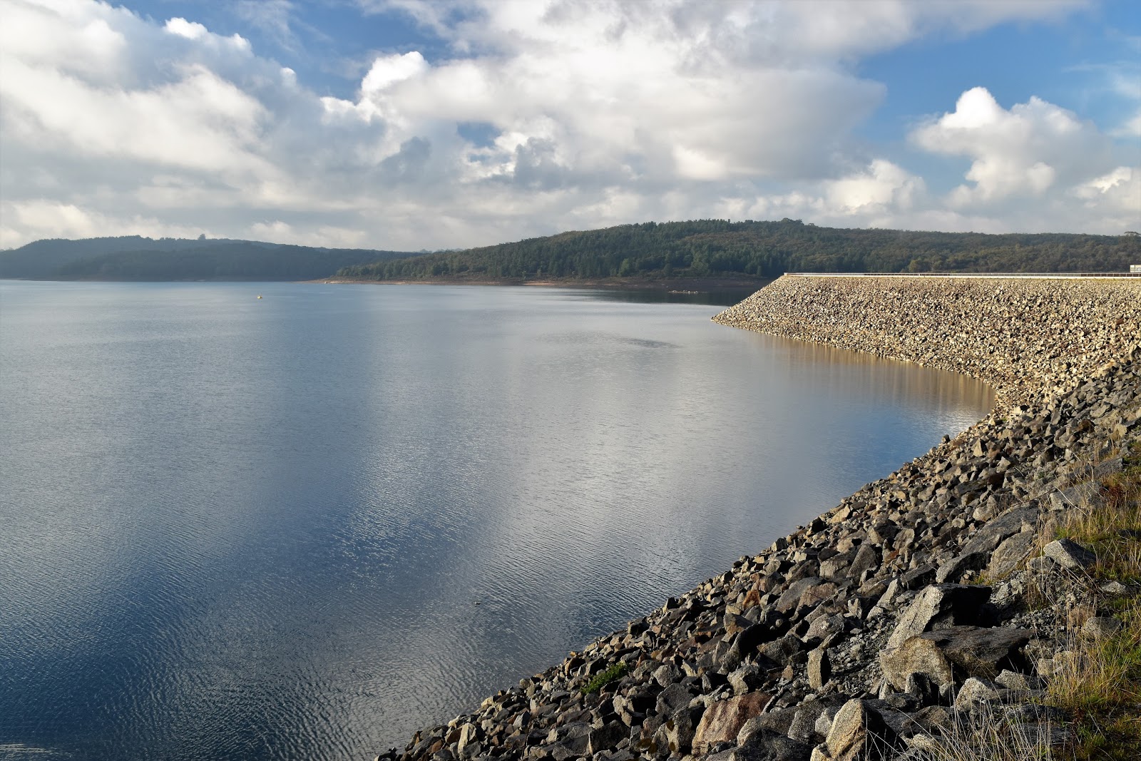 Goin' Feral One Day At A Time: Cardinia Reservoir Park Walk - June 2019