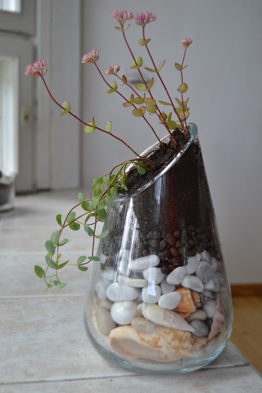 Arcanum terrarum: Terrariums