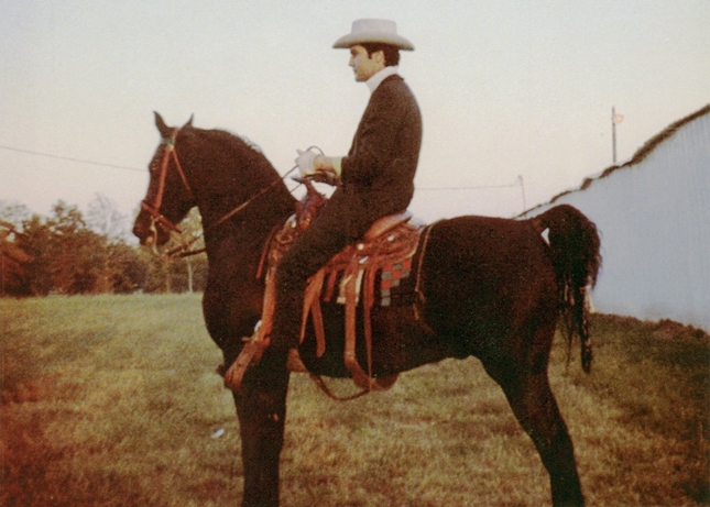 GrazieElvis - Elvis Presley Official Fan Club: FINALMENTE! TARGA ...