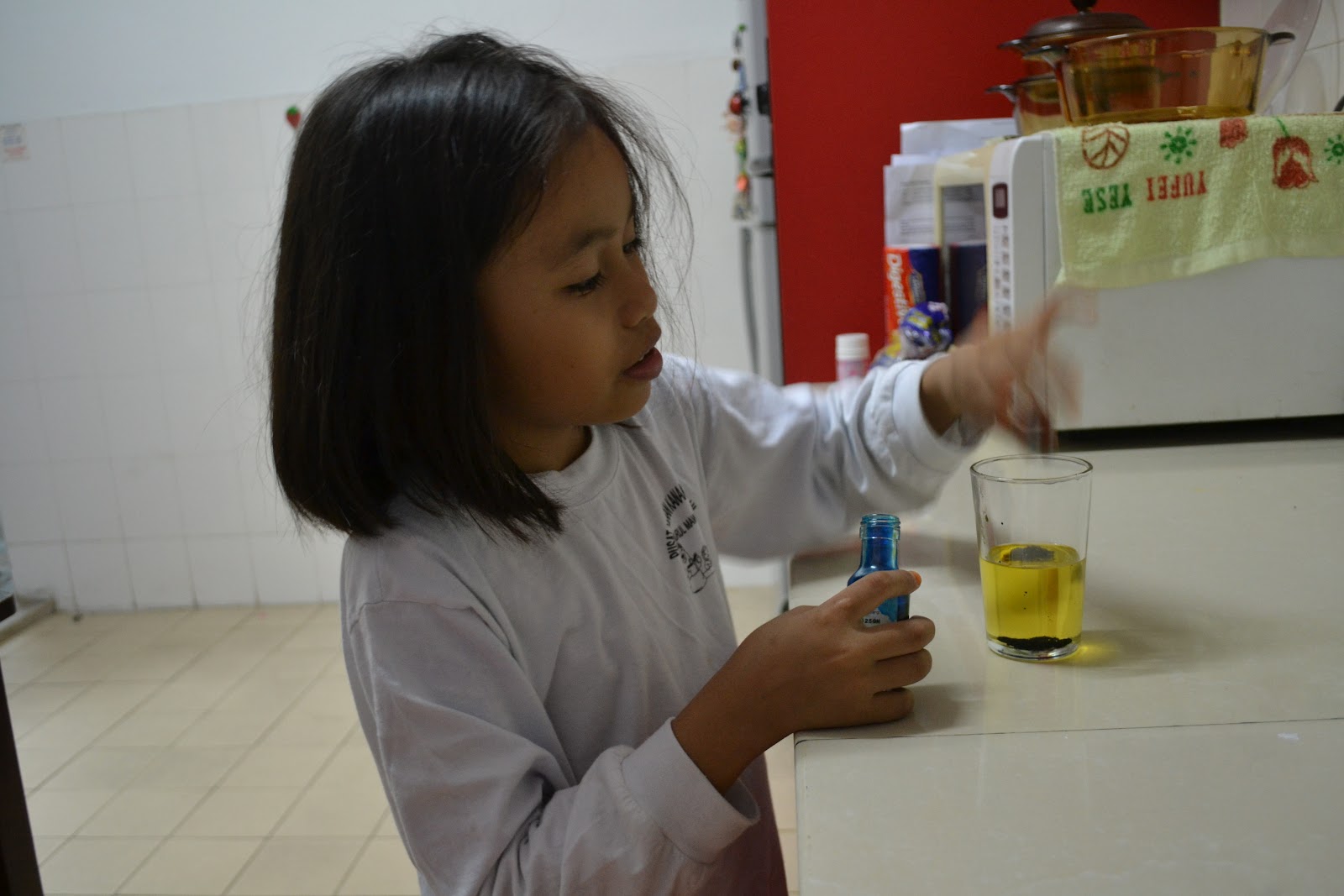 IdaShazana: Junior Sains Comot