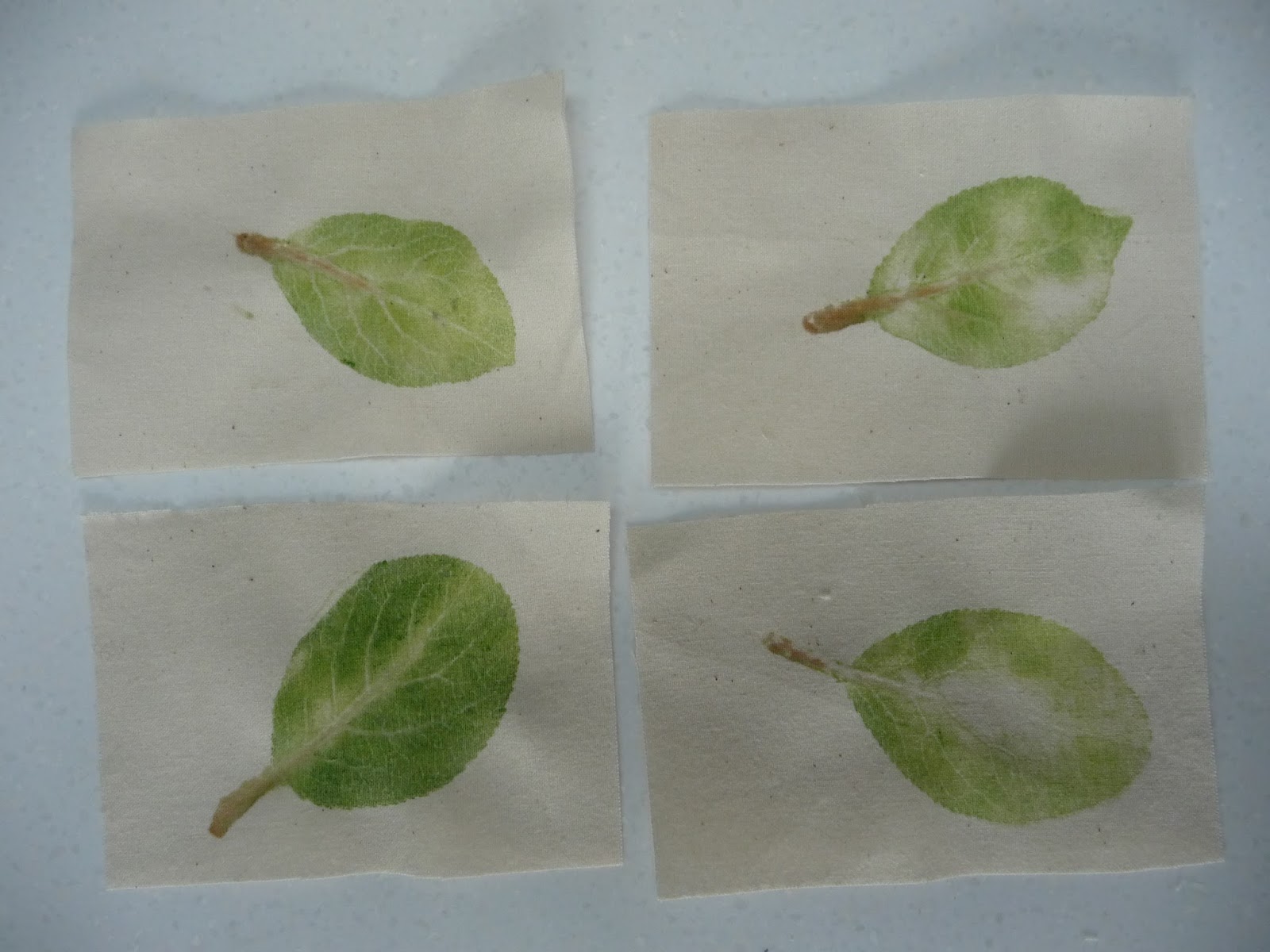 Wool - Tribulations of Hand Spinning and Herbal Dyeing: Hammer Printing ...