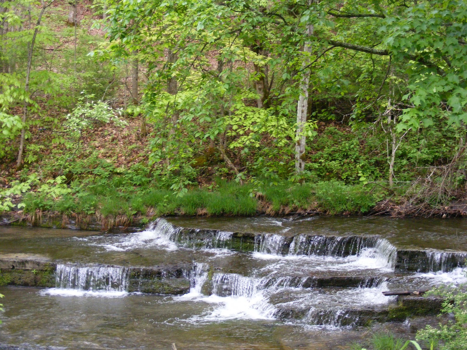 BirdingWeek: Partridge Run WMA & Huyck Preserve