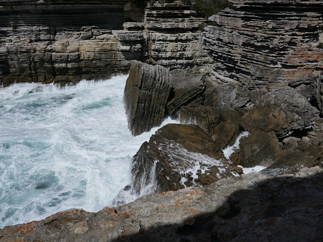All The Gear But No Idea: Beecroft Head, Gosangs Tunnel & Mermaids Inlet