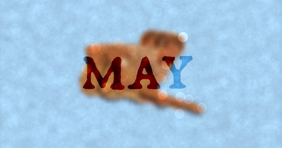 May: Album of the Month ~ a cup of wittea