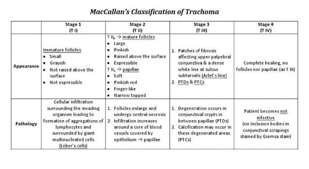Medical Terms & Сlinical Сases : MacCallan's classification of trachoma