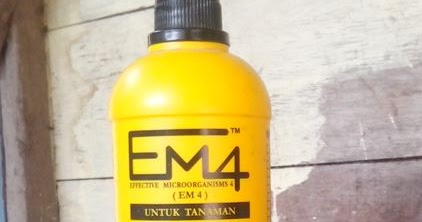 EM4 adalah bakteri starter