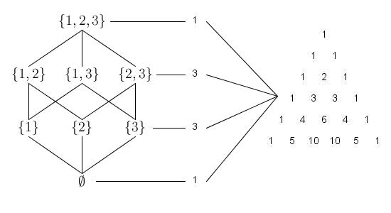 Elegant Coding: The Ubiquitous Patterns of Pascal’s Triangle