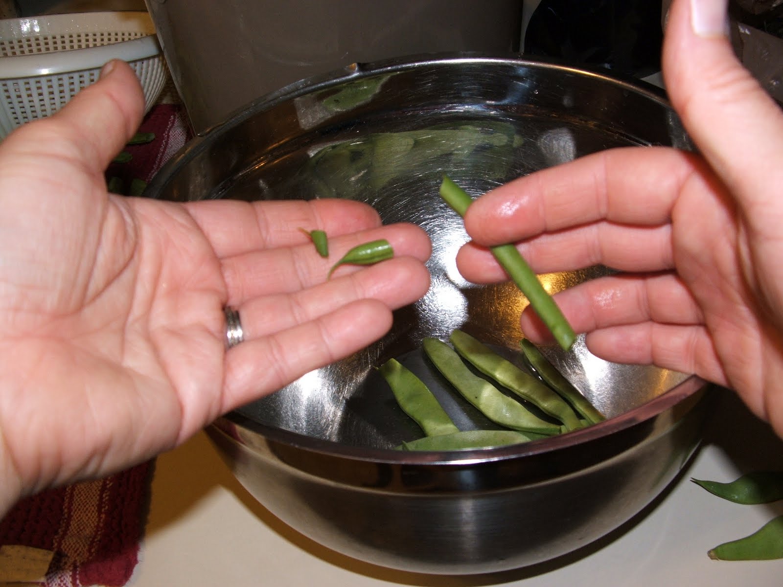 God's Growing Garden: The Basics - Snapping Beans