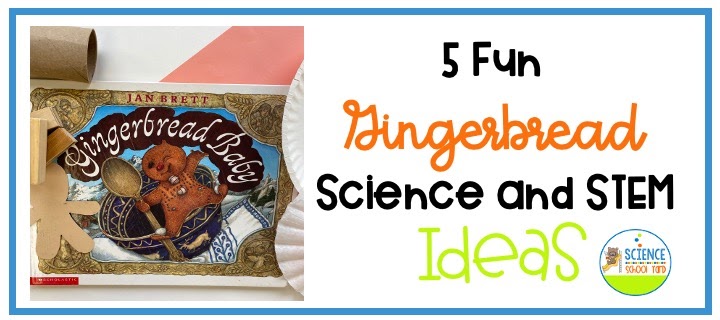 Five Fun Gingerbread Science and STEM Ideas - The Science School Yard