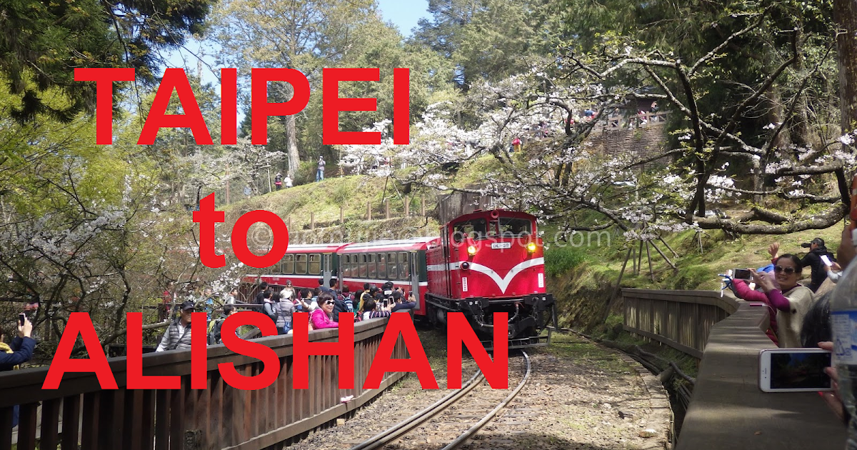Taipei to Alishan - Travel guide, how to go, tips and tricks | Travel ...