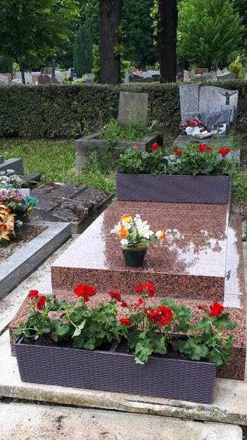 Thomas Breakwell: UNE ETOILE DANS LE CIEL SUPREME