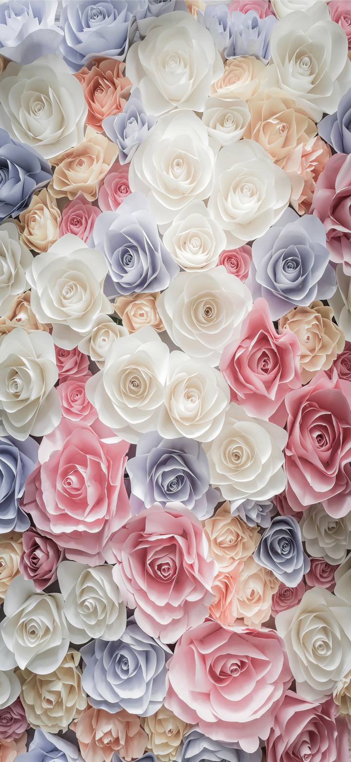 Juan Maldonado: The best Wallpapers and Screensaver of Roses