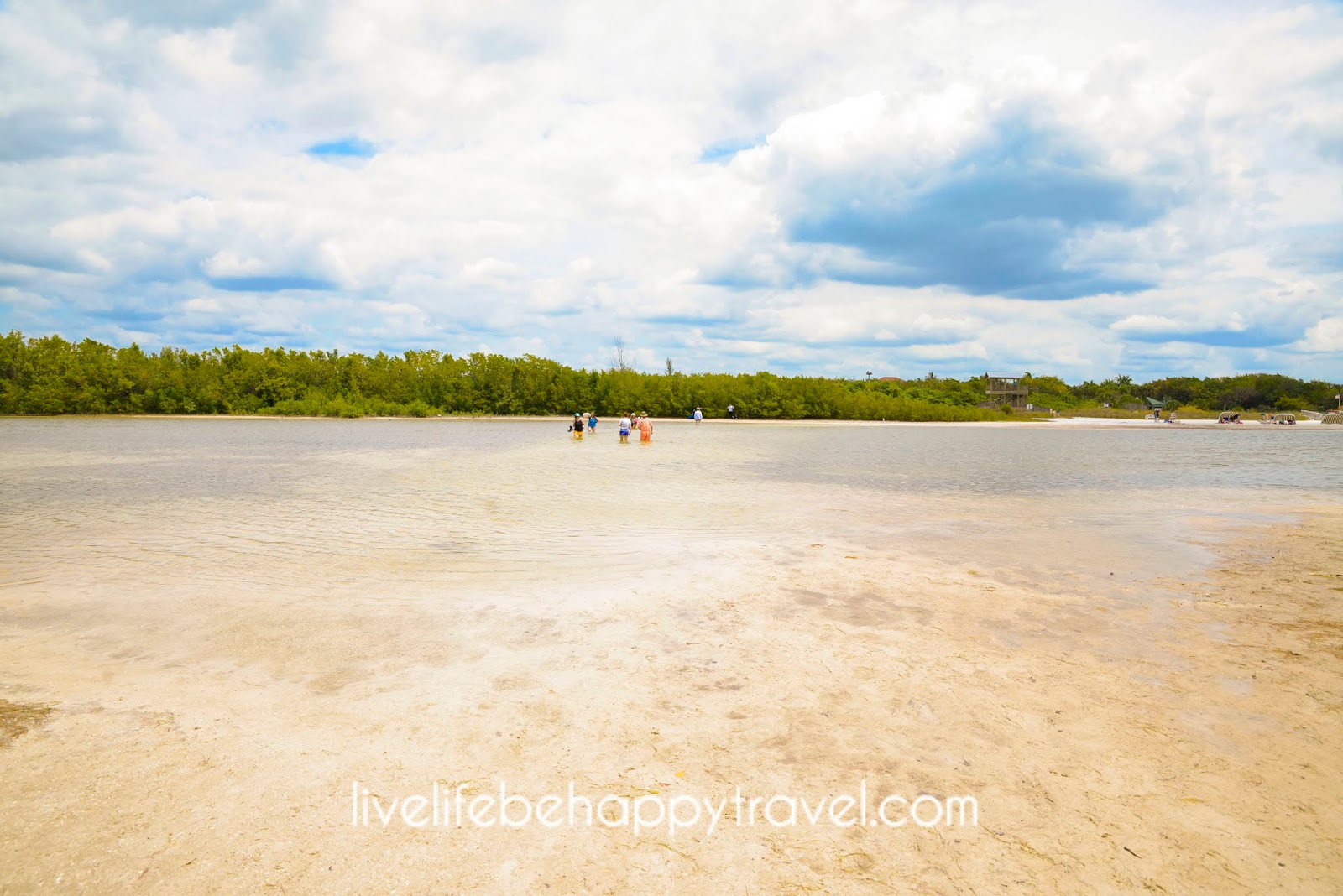 Life and Coconuts: Discover the Hidden Gem of Naples, Florida ...