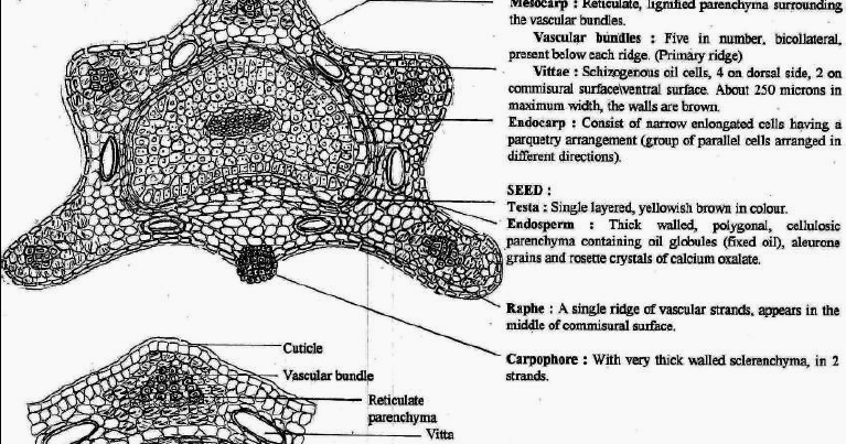 .: T.S & Their Characteristics