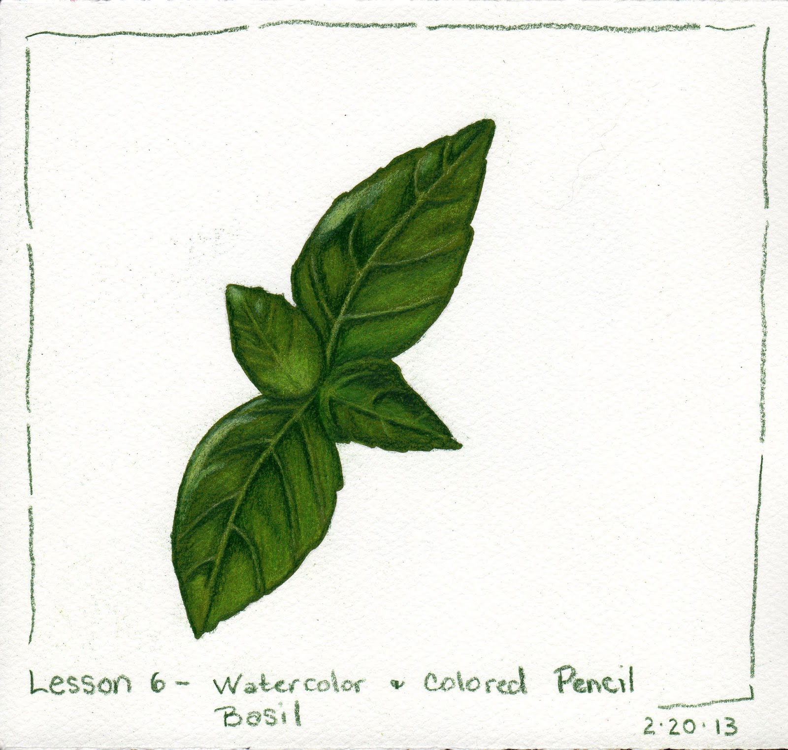 Scrappy Cat: Draw & Paint Culinary Herbs - Lesson 6 Basil