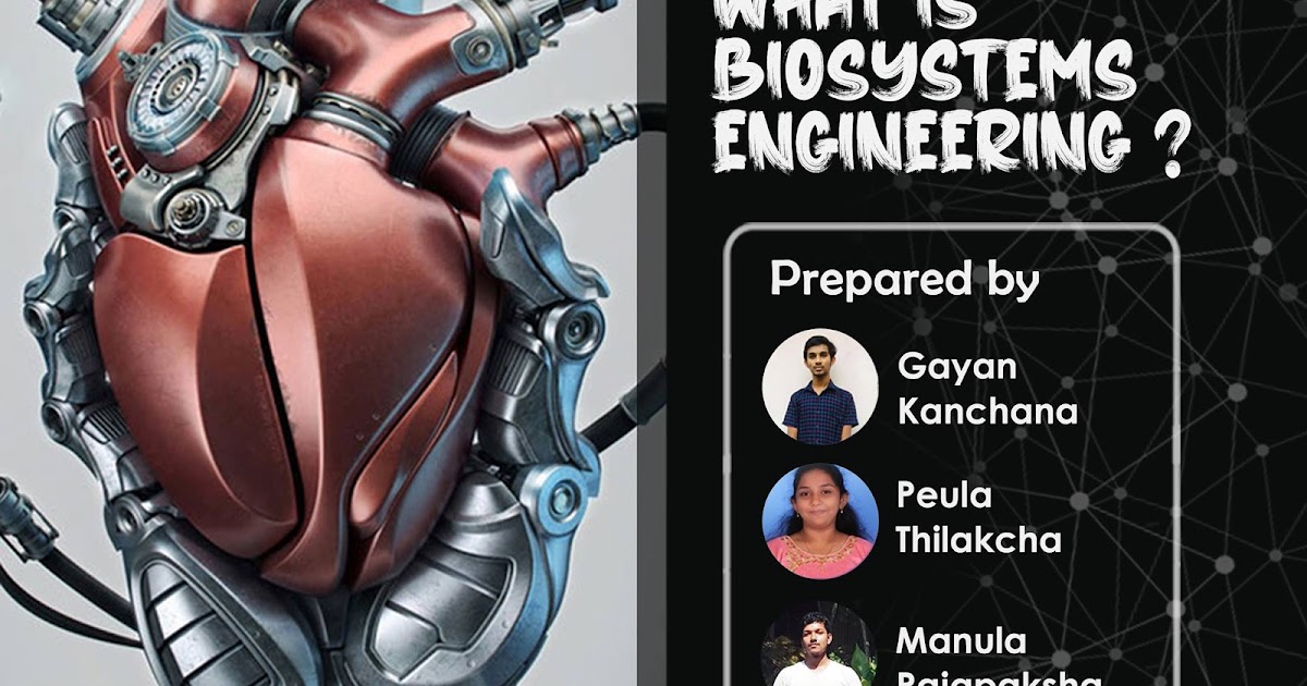 What is the Biosystems Engineering?