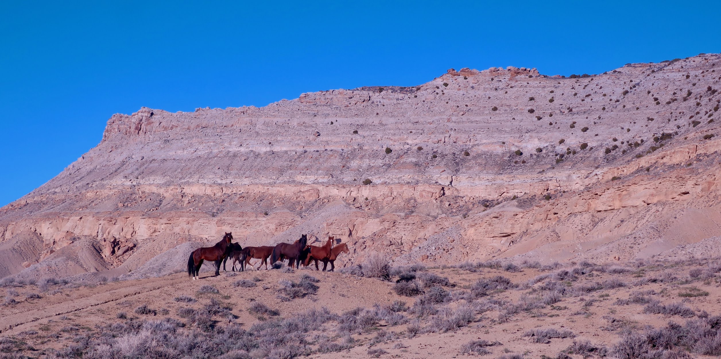 Red Desert, Wyoming - Spectaculair stukje natuur!