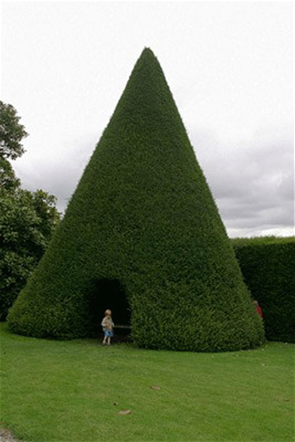 [www.keralites.net] 15 Best Topiary Models of the World!!! ~ Best ...