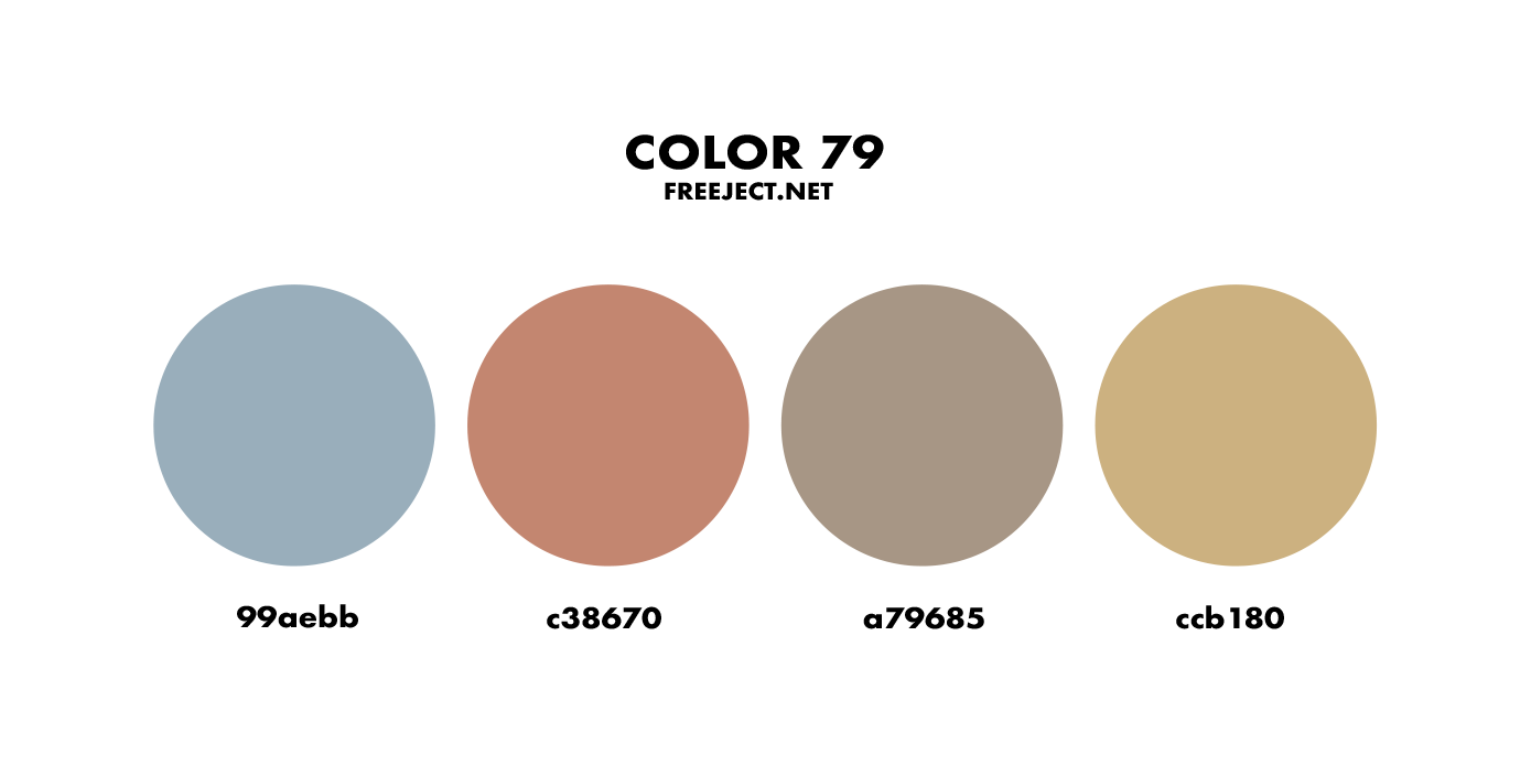 Color Palette PNG - 4 Color Combinations