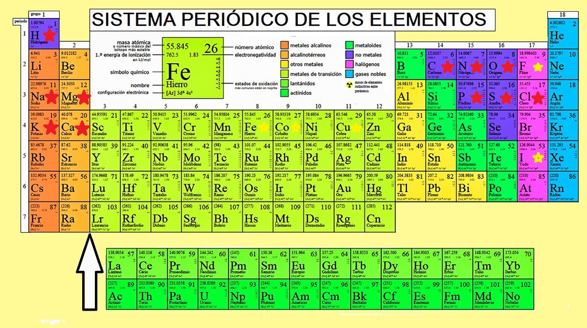 CURIOSIDADES CIENTÍFICAS : El sistema periódico de los elementos