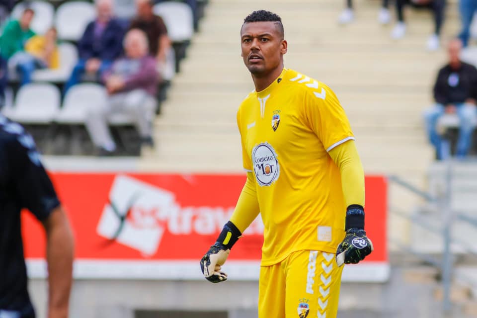 O Blog do David: Hugo Marques. O choco que domina o espaço aéreo em Faro