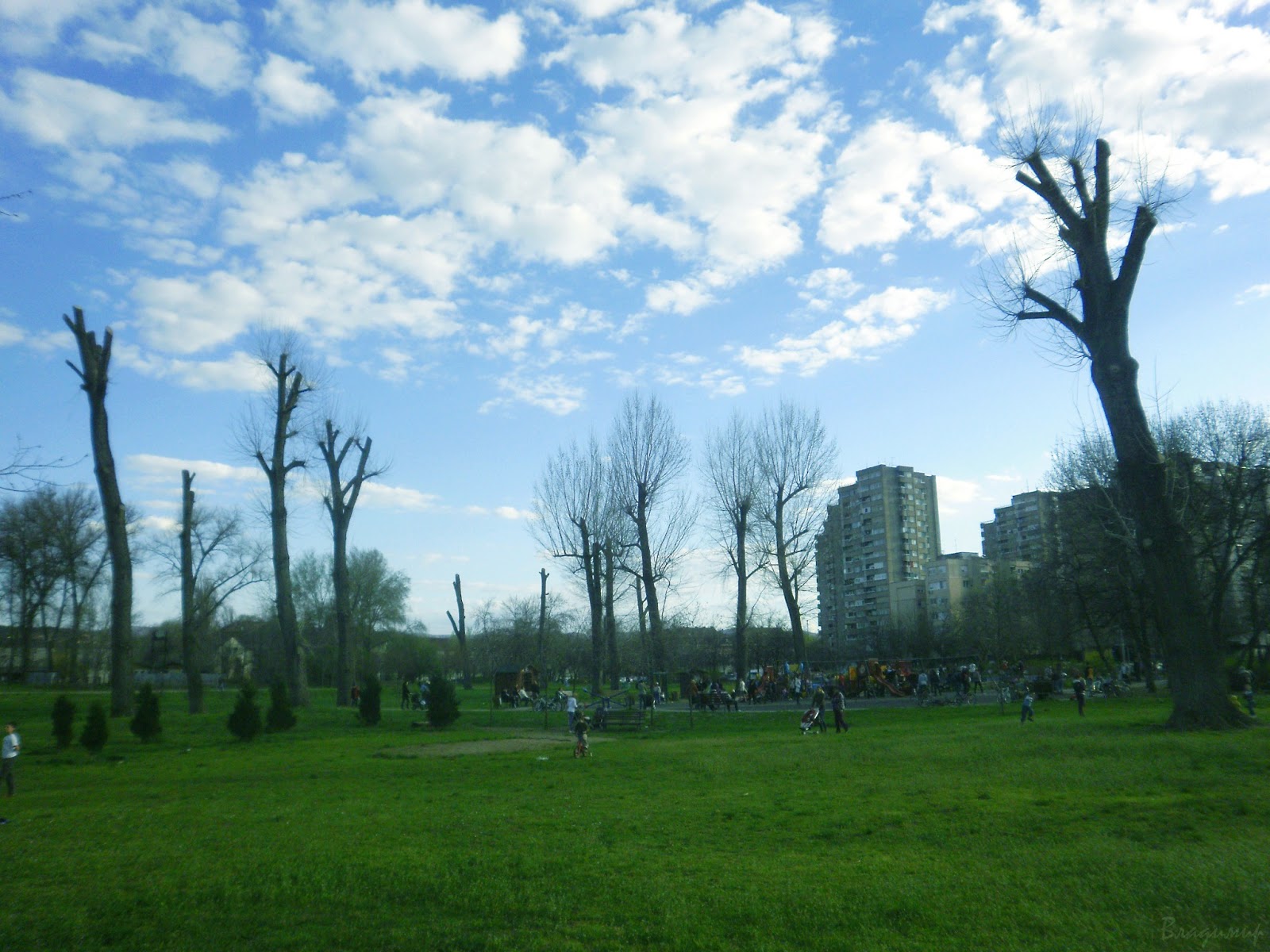 novi sad fotografije