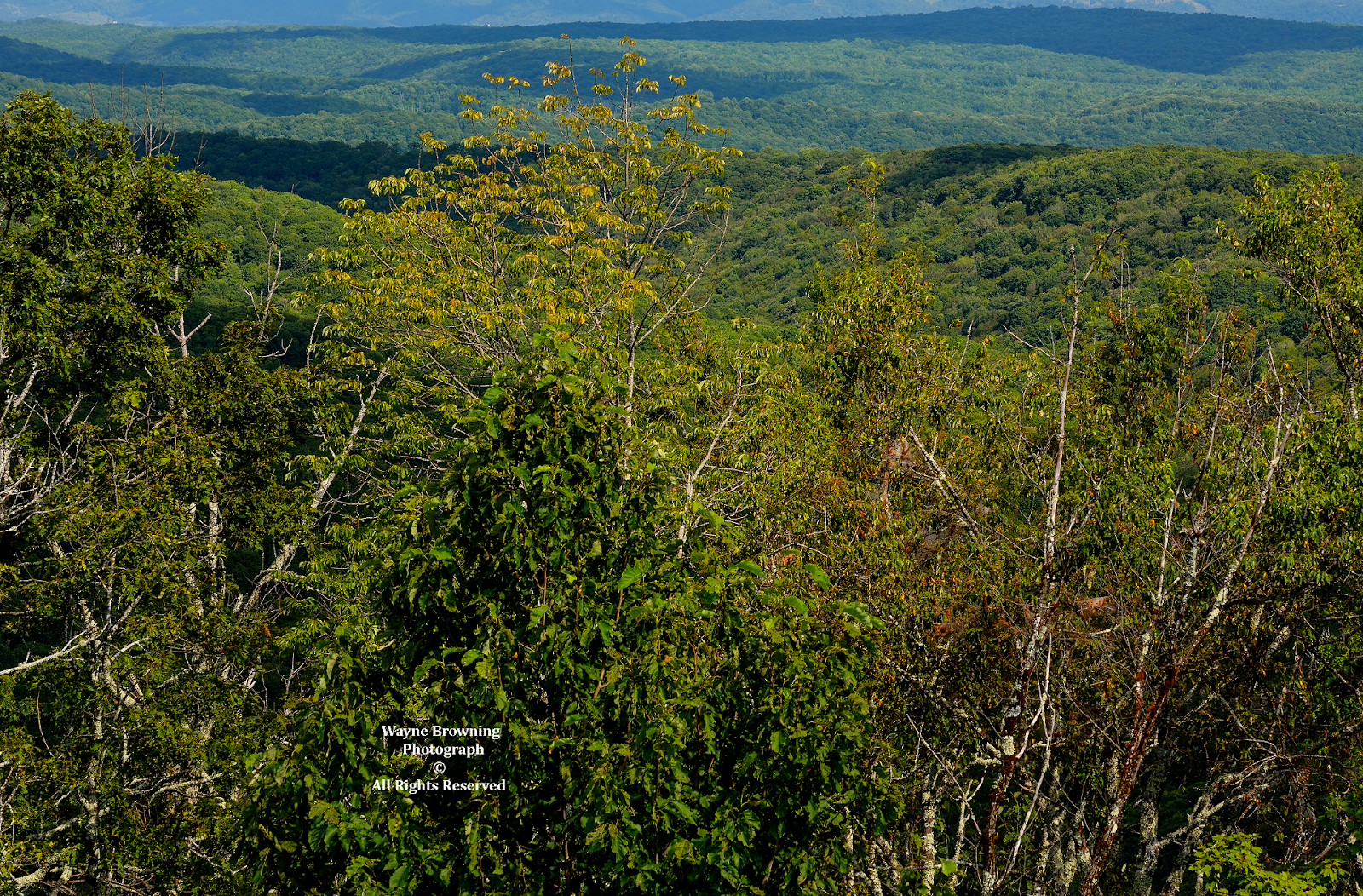 The High Knob Landform