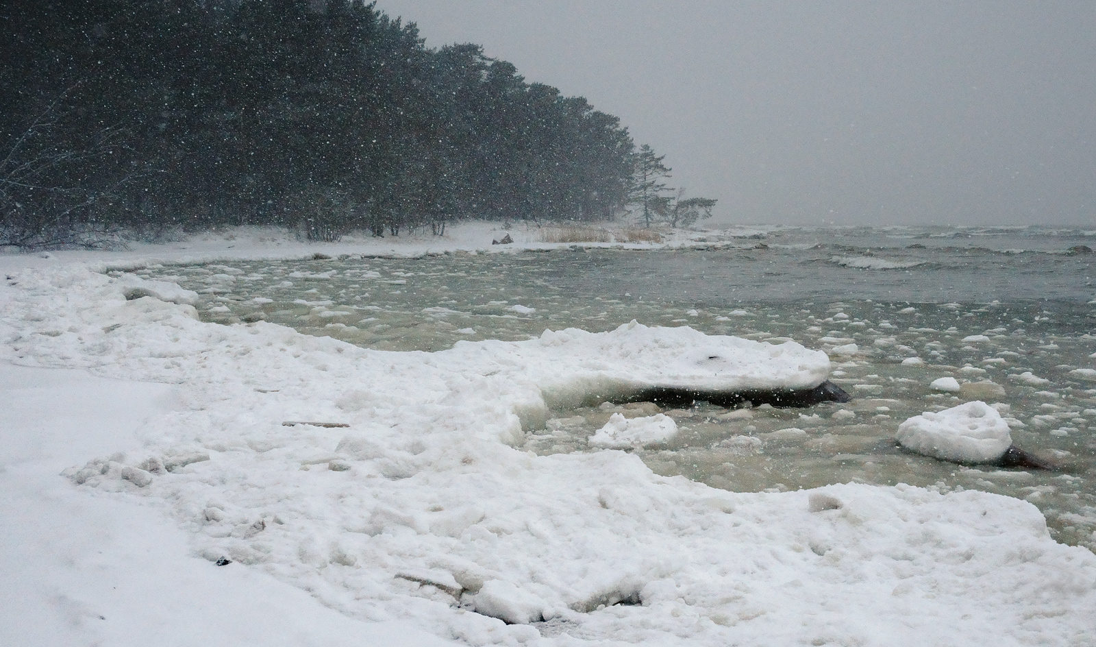 Olar Barndõk fotoblog: Talve II tulemine