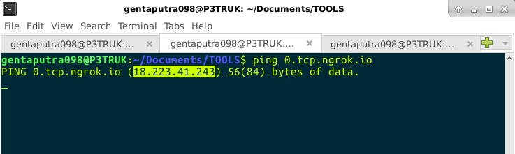 Cara backconnect Web Shell dengan Ngrok dan Netcat