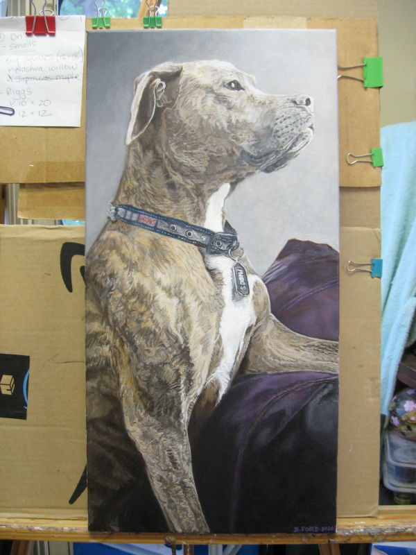 Bronwyn Ford's Oil Paintings