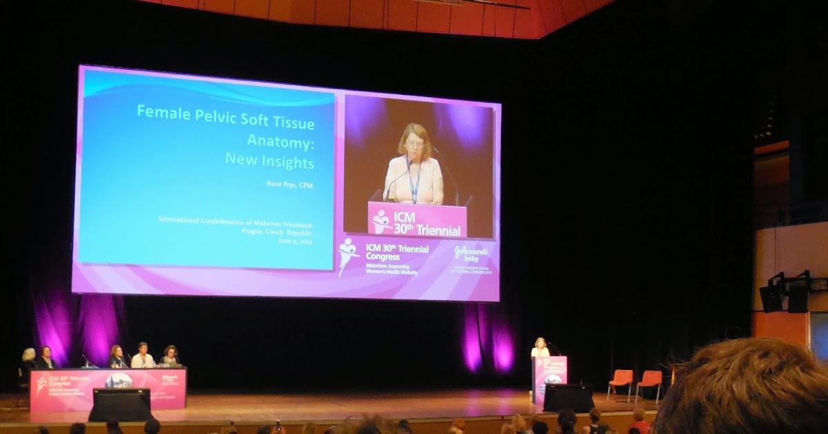 CreAttivaMente Ostetriche : Tutto ciò che volevi sapere sulla pelvi ...