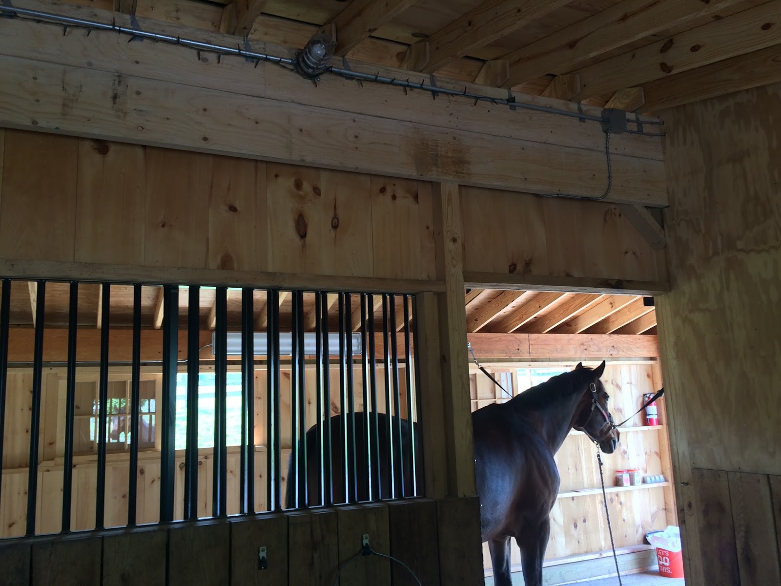 Building & Managing the Small Horse Farm: Finishing Stall Walls