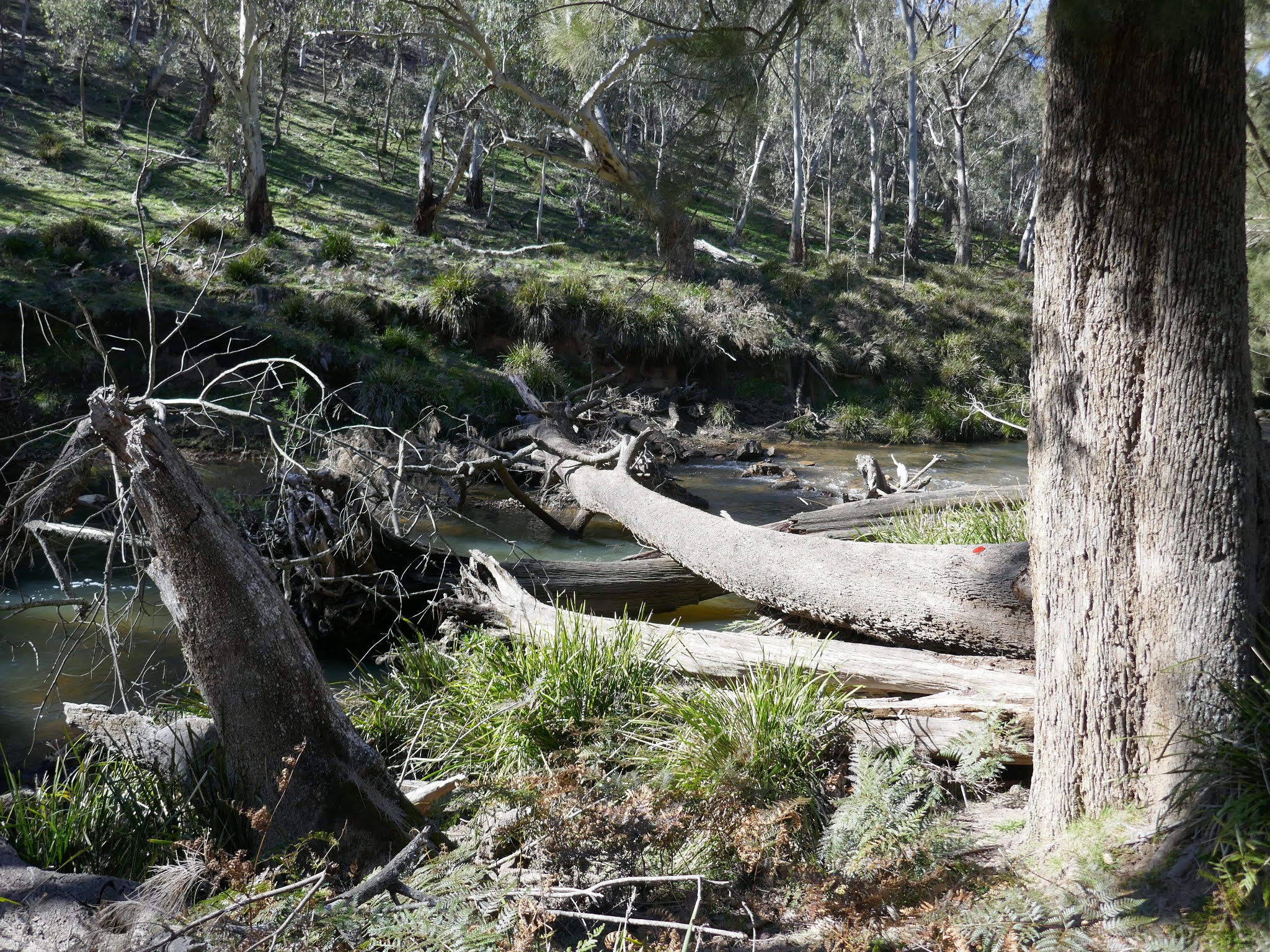 All The Gear But No Idea: Turon River - The Devil's Climb