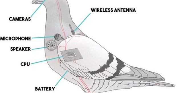 🐦 Government Spy Drone Program (Birds Aren't Real) 🐦