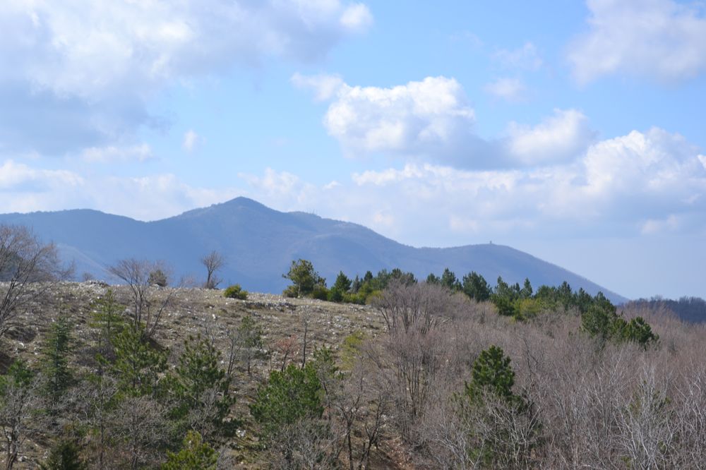 ESCURSIONI Lazio Abruzzo: Monte Pellechia (da Monteflavio)