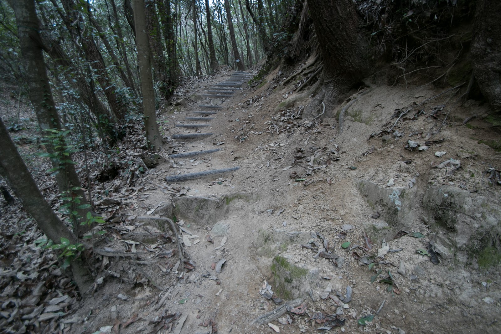 Niitakayama Castle -Intellectual pillar of Mouri clan (2)- | Japan ...